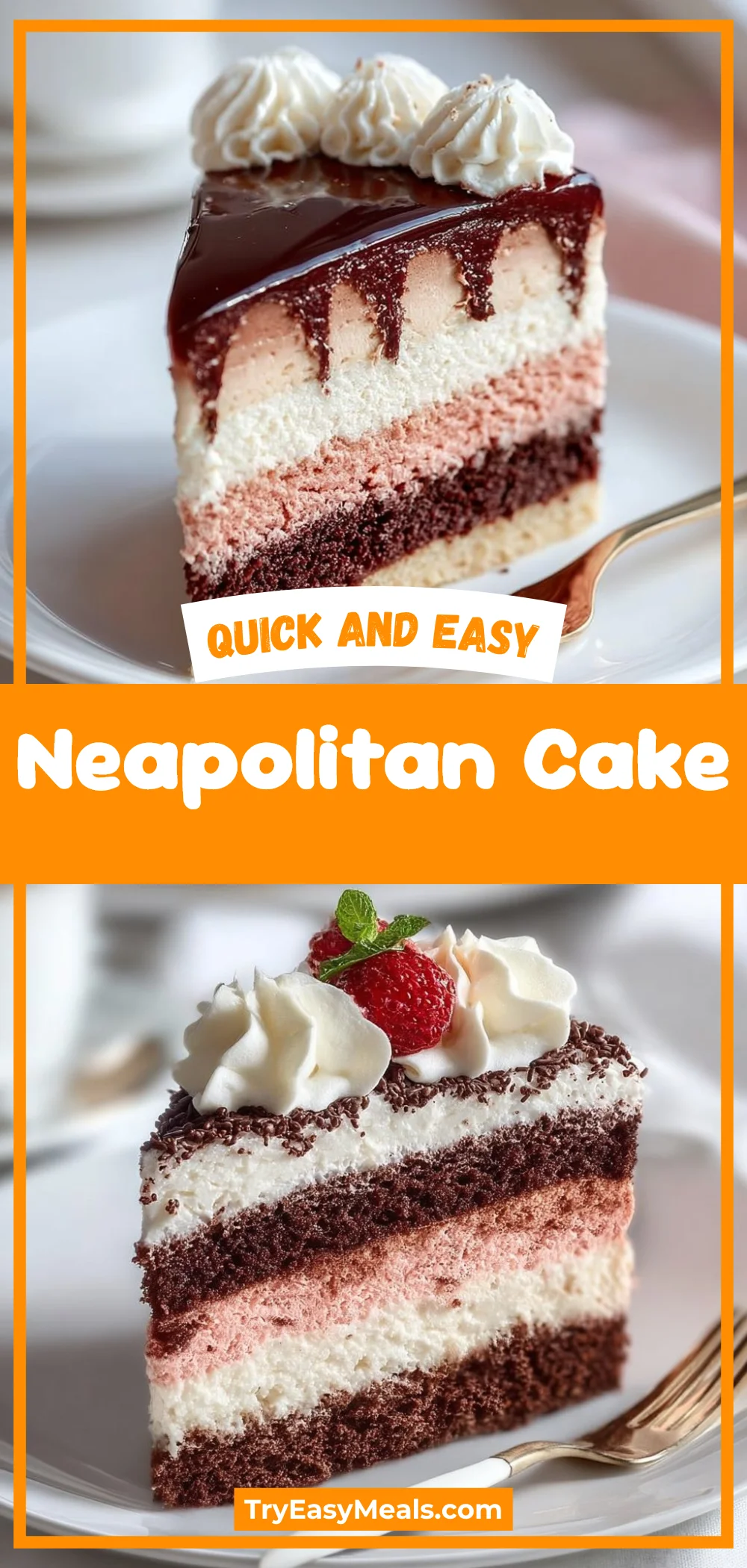 Neapolitan Cake