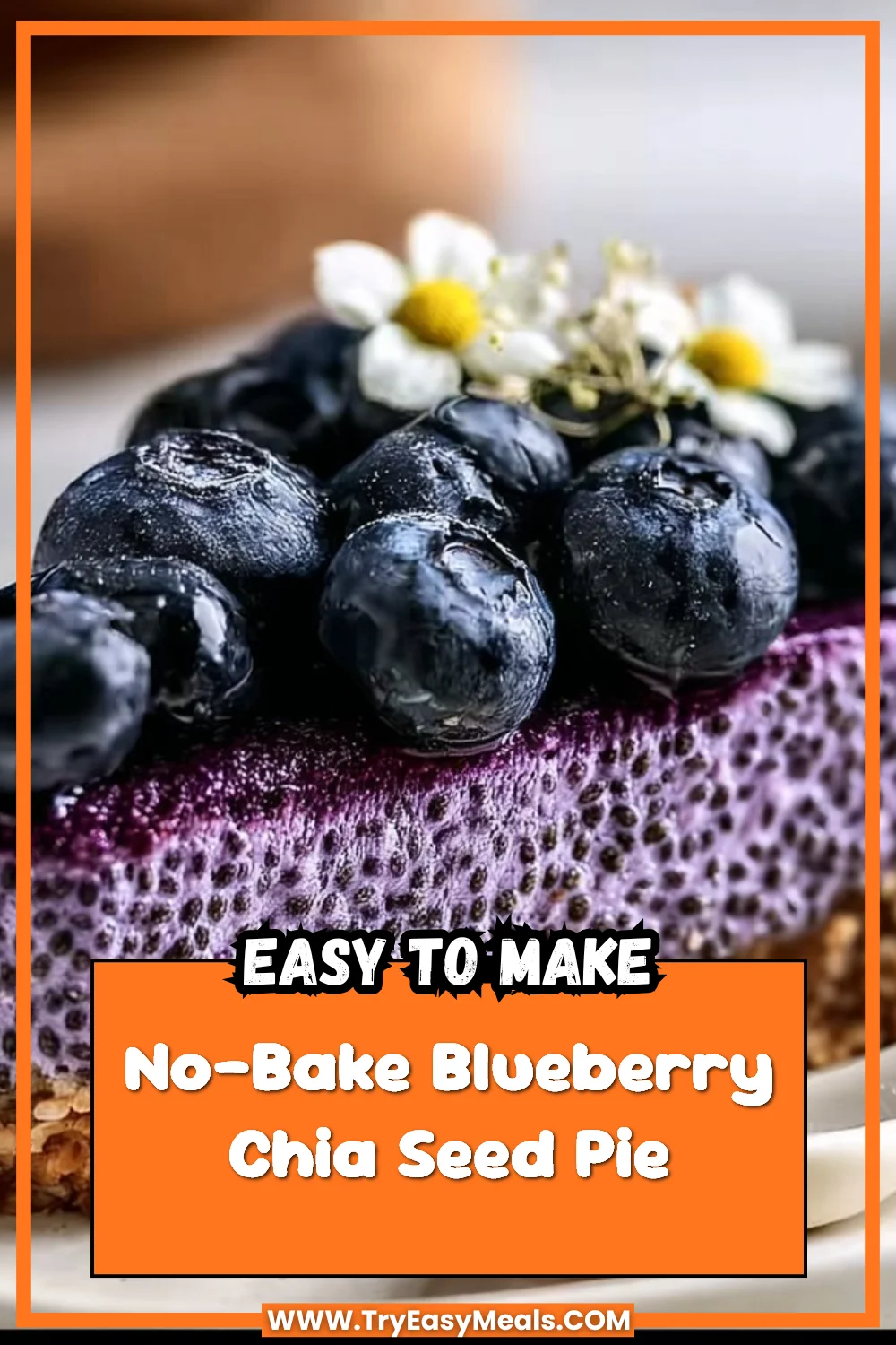 No-Bake Blueberry Chia Seed Pie