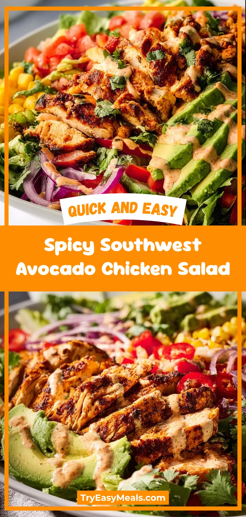 Spicy Southwest Avocado Chicken Salad